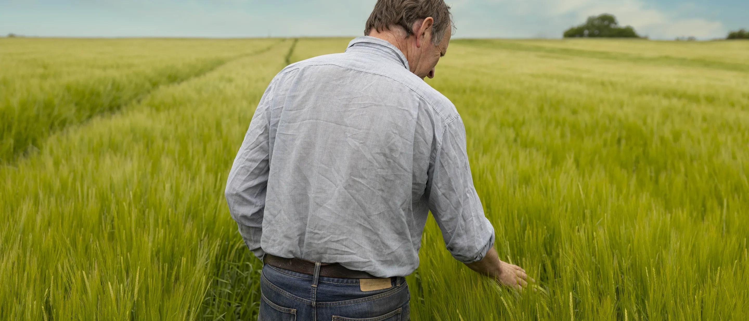 Sustainability in the Alcohol Industry | The Whisky List